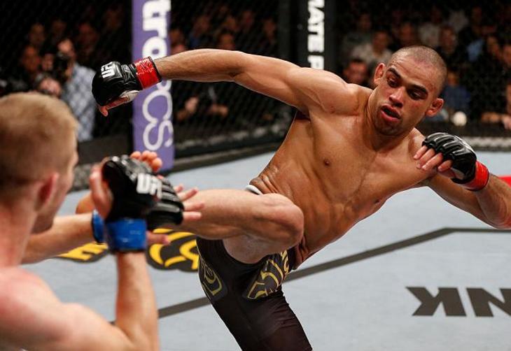 UFC 20 anos - Foto 1 - Galeria de Fotos