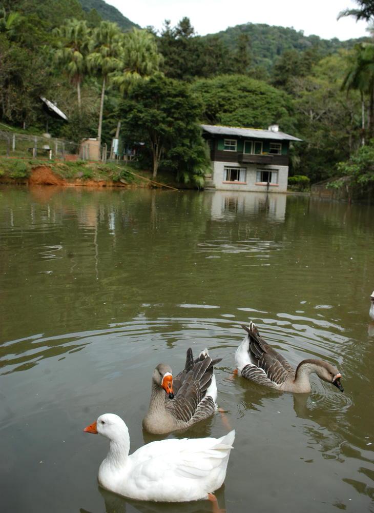 Venda da base do morro do Spitzkopf - Foto 1 - Galeria de Fotos